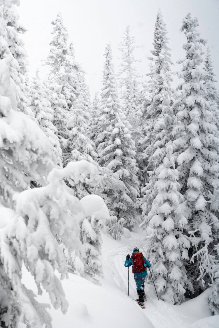 Parc National des Monts Valin : au cœur de la nature sauvage